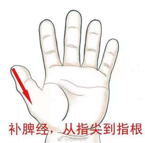 小儿推拿杨晓：夏季是小儿养阳好时机，养阳让宝宝少生病身体棒——锄禾网锄禾中国锄禾网锄禾日当午有机农业的发展前景有机农业生态园生态