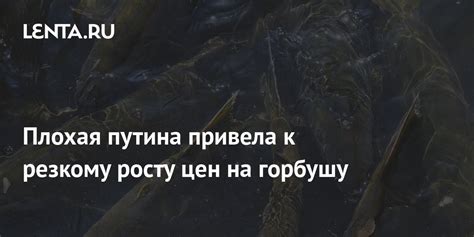 Плохая путина привела к резкому росту цен на горбушу Бизнес Экономика