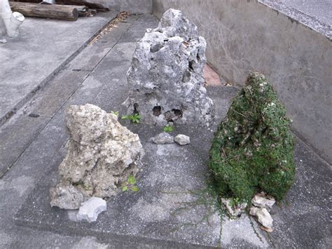 豊見城市平良 沖縄島の写真