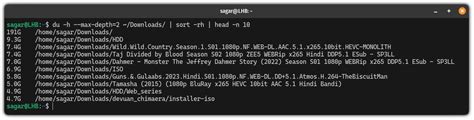 sort du command output by size in linux