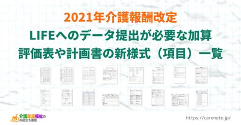 LIFEへのデータ提出が算定要件の加算の新様式項目一覧 介護健康福祉のお役立ち通信