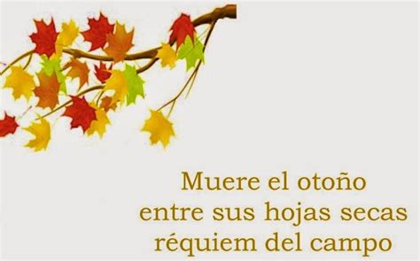 Enroque De Ciencia Haikus 263 De Las Hojas Secas