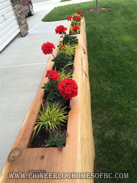 Log Planters Log Planter Planter Design Garden Design