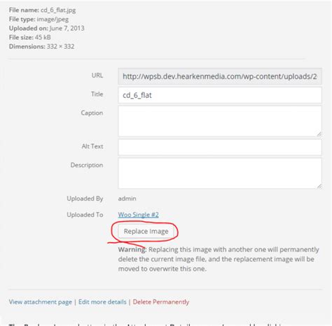 Update Je Afbeeldingen Met De Replace Image Plugin
