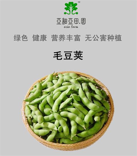 速冻毛豆台湾枝豆出口冷冻蔬菜价格面议批发加工工厂 阿里巴巴