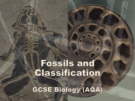 Fossils And Classification Gcse Biology Aqa Teaching Resources