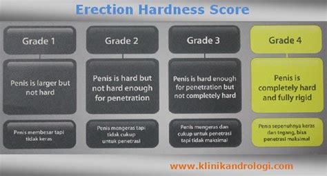 Klinik Andrologi Erection Hardness Score EHS
