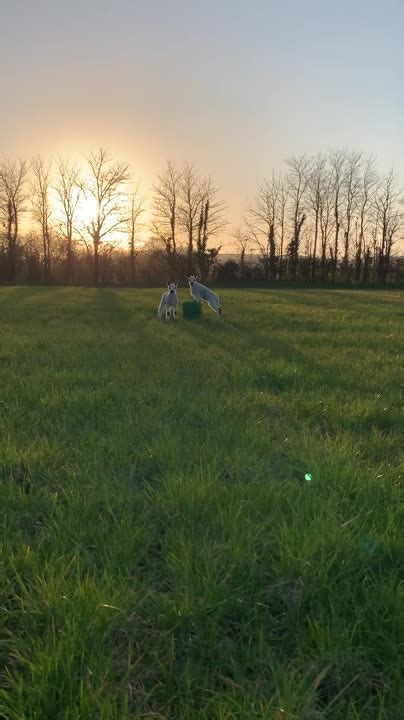 [video] Daniel Kelso On Linkedin Empowered Flexibility