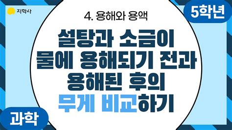 티솔루션 초등 5 1 과학⭐️설탕과 소금이 물에 용해되기 전과 용해된 후의 무게 비교하기 Youtube