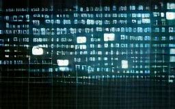 Data Masking Static Vs Dynamic DZone