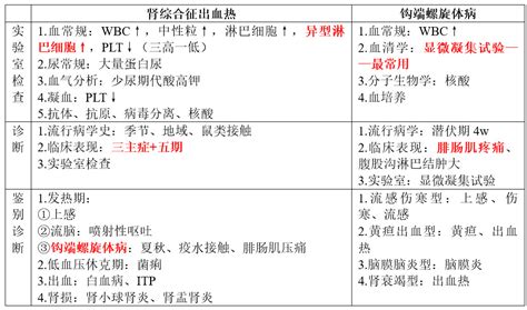 内科学 感染性疾病6 发热伴出血性传染病肾综合征出血热钩端螺旋体病 哔哩哔哩