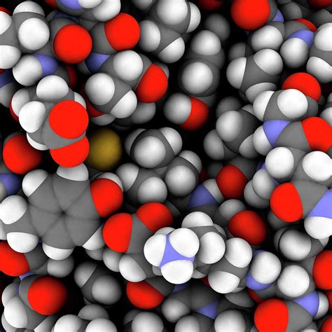 Trypsin Enzyme Surface Photograph By Molekuul Science Photo Library