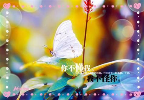 龙卷西风易克1小说（完整版）阅读 奇幻小说 免费小说大全