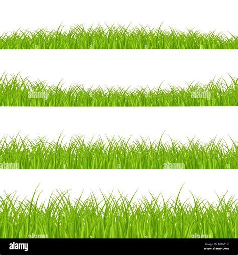 Grass Borders Set Grass Plant Panorama Grass Border Or Frame Vector