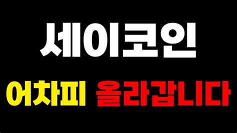 세이코인 어차피 올라갑니다 Youtube