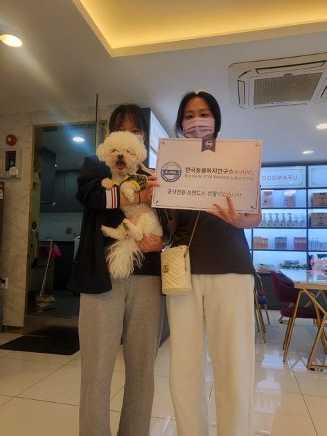 비숑프리제 토리 토이랙돌분양 토이브리티쉬숏헤어분양 토이스코티쉬폴드분양 토이러시안블루분양 토이강아지분양 토이고양이분양 토이비숑프리제입양 토이포메라니안입양 토이말티즈입양