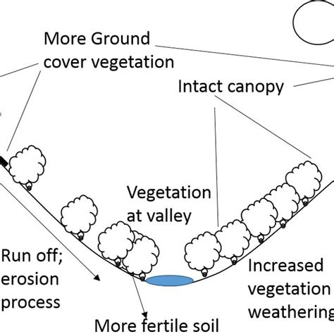 Effect Of Slope Aspect On Steep Slope And Gentle Slope Download Scientific Diagram