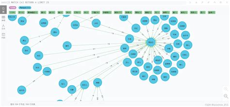 Neo4j的使用（以红楼梦人物关系为例）neo4j人物关系图谱论文 Csdn博客