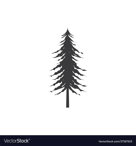 Cedar Tree Royalty Free Vector Image Vectorstock