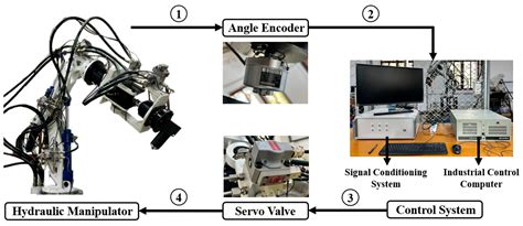 Linear Extended State Observer Based Adaptive Rise Control For The