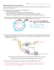 Week B DNA Replication Reading Guide Pdf Name DNA Replication Cell Cycle Pre Class