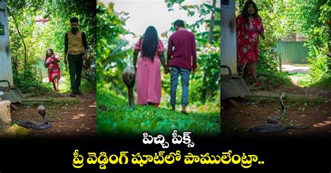 పిచ్చి పీక్స్ ప్రీ వెడ్డింగ్ షూట్‌లో పాములేంట్రా