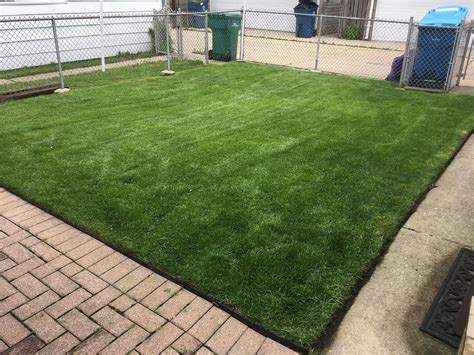 Grasshopper Landscaping Grasshopper Landscaping Service