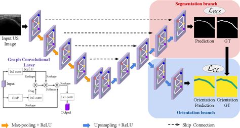 Figure 1 From Orientation Guided Graph Convolutional Network For Bone
