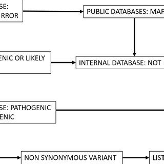 Filtering Strategies For Raw Variant Call File Vcf To List Of Download Scientific Diagram