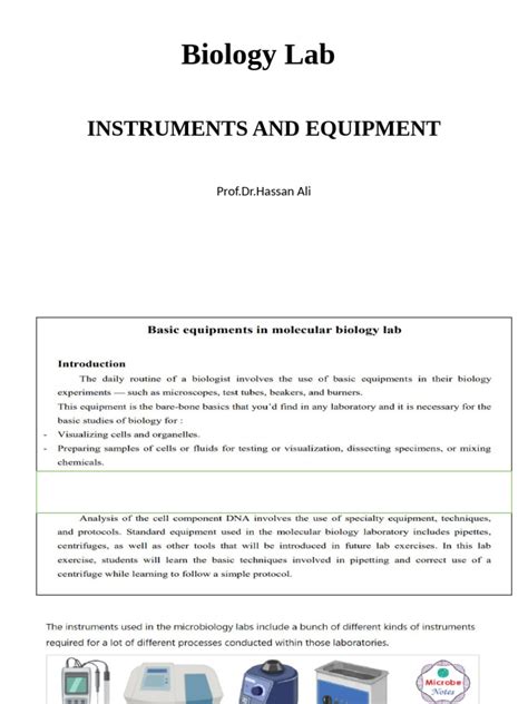 biology lab 2 1 pdf polymerase chain reaction gel electrophoresis