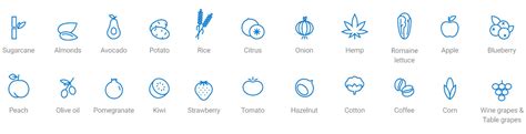 Growsphere™ Crop Advisor Irrigation Decision Support Netafim