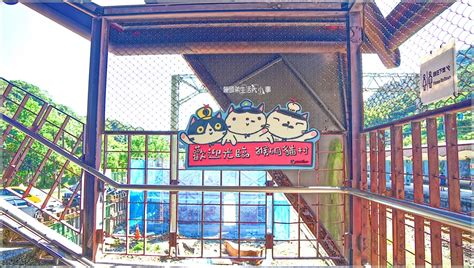 新北｜猴硐貓村旅遊：整村貓咪療癒你的心！另外推薦217 Café用鬆餅療癒你的胃 輕旅行