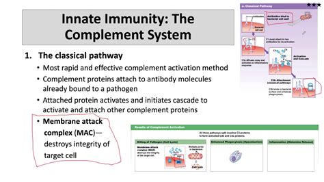 Interferons And The Complement System Youtube
