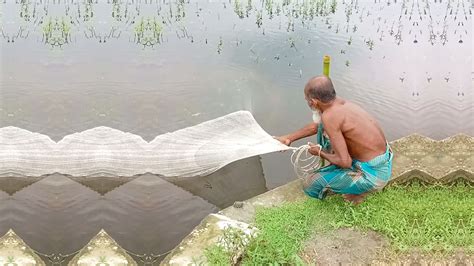কোল বালিশ