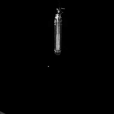 Forest Satellites Big Antenna Opens Up