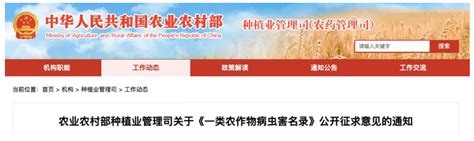 国家《一类农作物病虫害名录》征求意见，16种重大病虫害入选河北德瑞化工有限公司