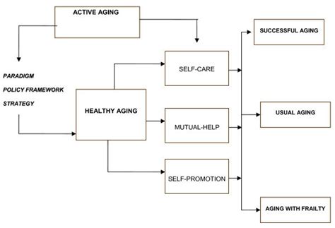 Active Aging As Paradigm Policy Framework And Strategy For Healthy