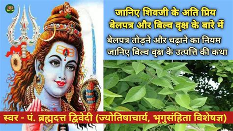 जानिए शिवजी के अति प्रिय बेलपत्र और बिल्व वृक्ष के बारे में बेलपत्र