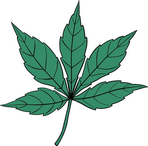 Simplicity Cannabis Leaf Freehand Drawing 26573629 Png