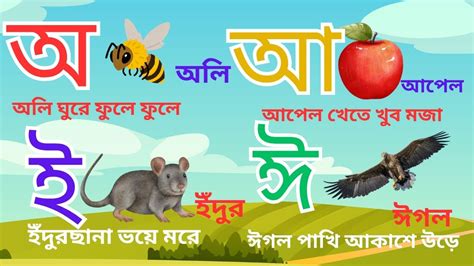 বাংলা স্বরবর্ণ পরিচয়।অ তে অলি।আ তে আপেল।অআইঈ। Bangla Shorborno । স্বরবর্ণ ছোটদের অআইঈ