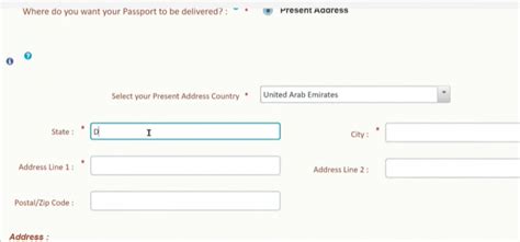 Pakistani Passport Renewal In Uae
