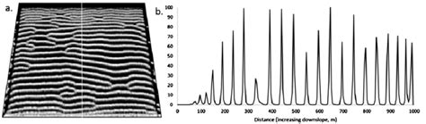 Self Organization Of Vegetation Into A Banded Pattern On A Straight Download Scientific Diagram