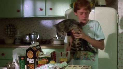 Scott Grimes Critters