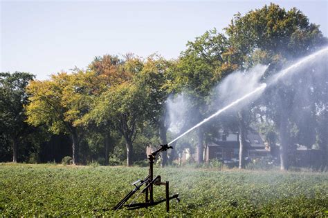 Grondwater Oppompen Bij Natuurgebieden Is Vanaf Morgen Verboden In