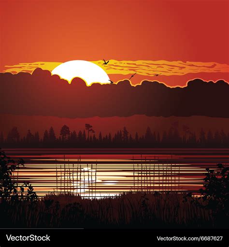 Nature Sunset Background Royalty Free Vector Image