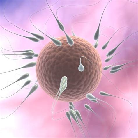 Top 21 Apps Like Male Reproductive System In 2025 Worldsapps