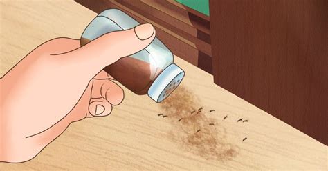 Ways to Get Rid of Bugs in Your House Consejos para el hogar Deshaciéndose Ejercicios para