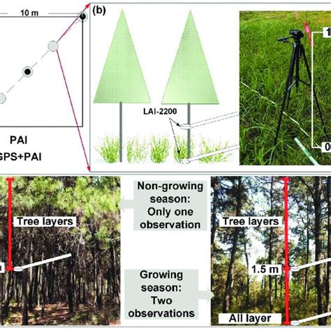 A Sampling Positions Circles Along Diagonals Of A Plot As Part Of Download Scientific
