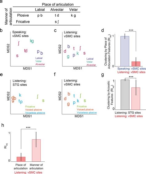 The Auditory Representation Of Speech Sounds In Human Motor Cortex Elife