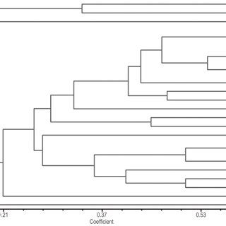 Dendrogram Showing Clustering Of 24 Maize Genotypes Based On SSR Marker